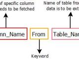 Sql Select Command Syntax